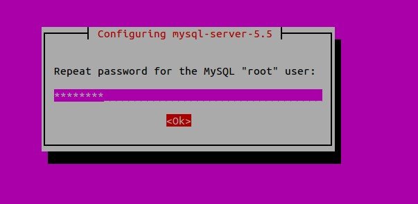 repeat_mysql_root_password repeat_mysql_root_password