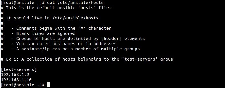 Ansible Host